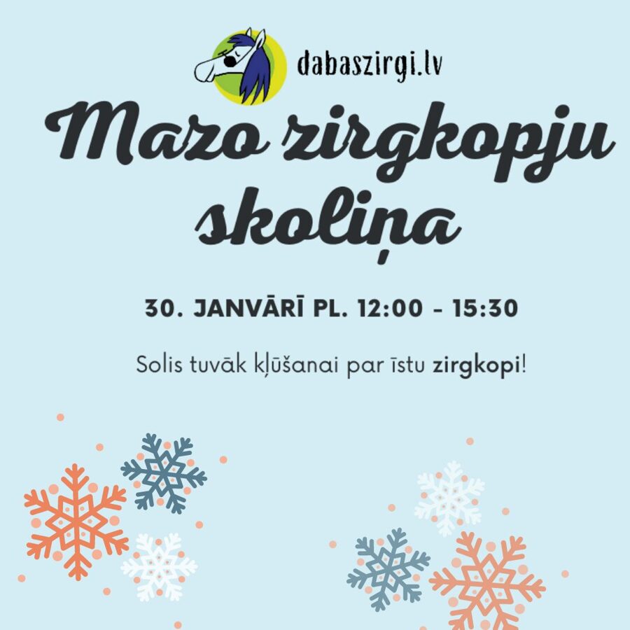 Zirgu un cilvēku labsajūtas centrs Dabas zirgi - Sākums